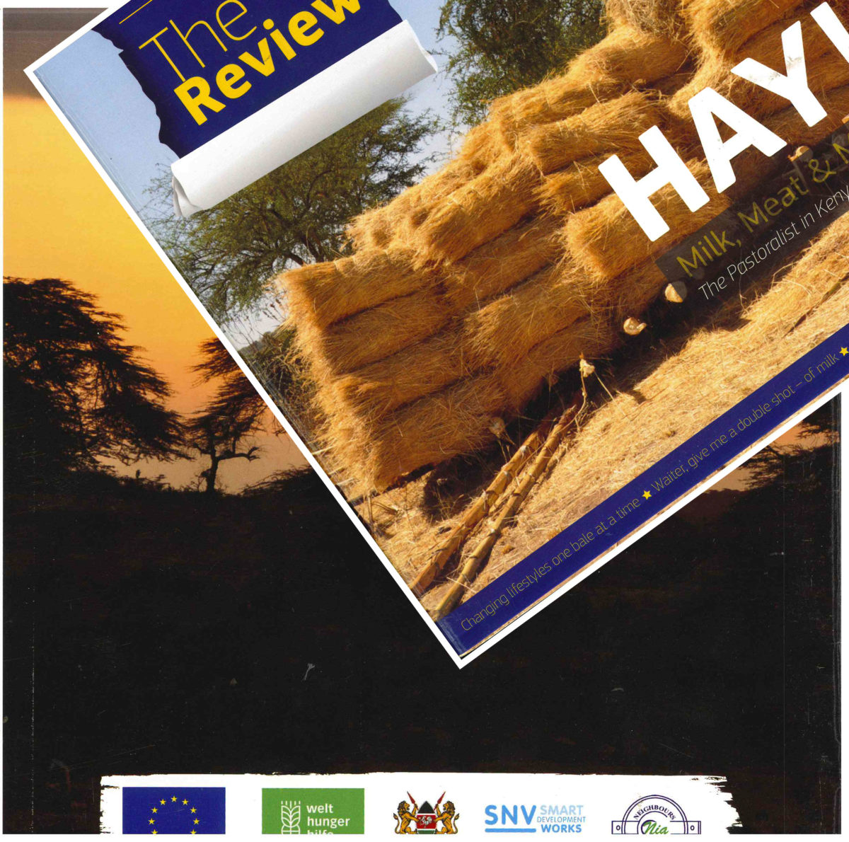 The Review Magazine – Rococo PR